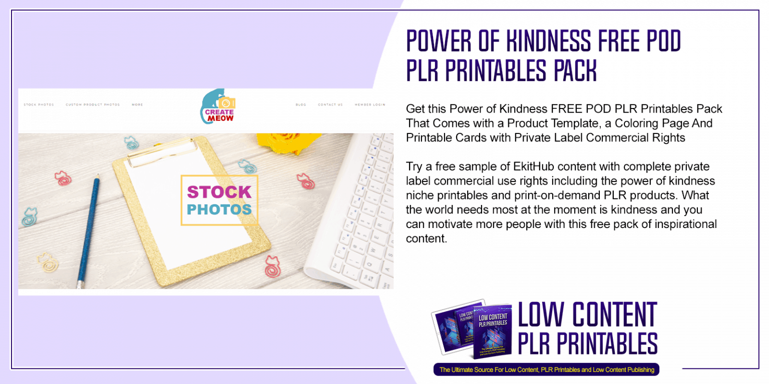 CreateMeow Store Creative Stock Photos for Businesses | Stock Photos