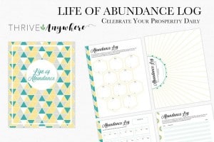 Life of Abundance Log Free PLR Journal Template | PLR Printables