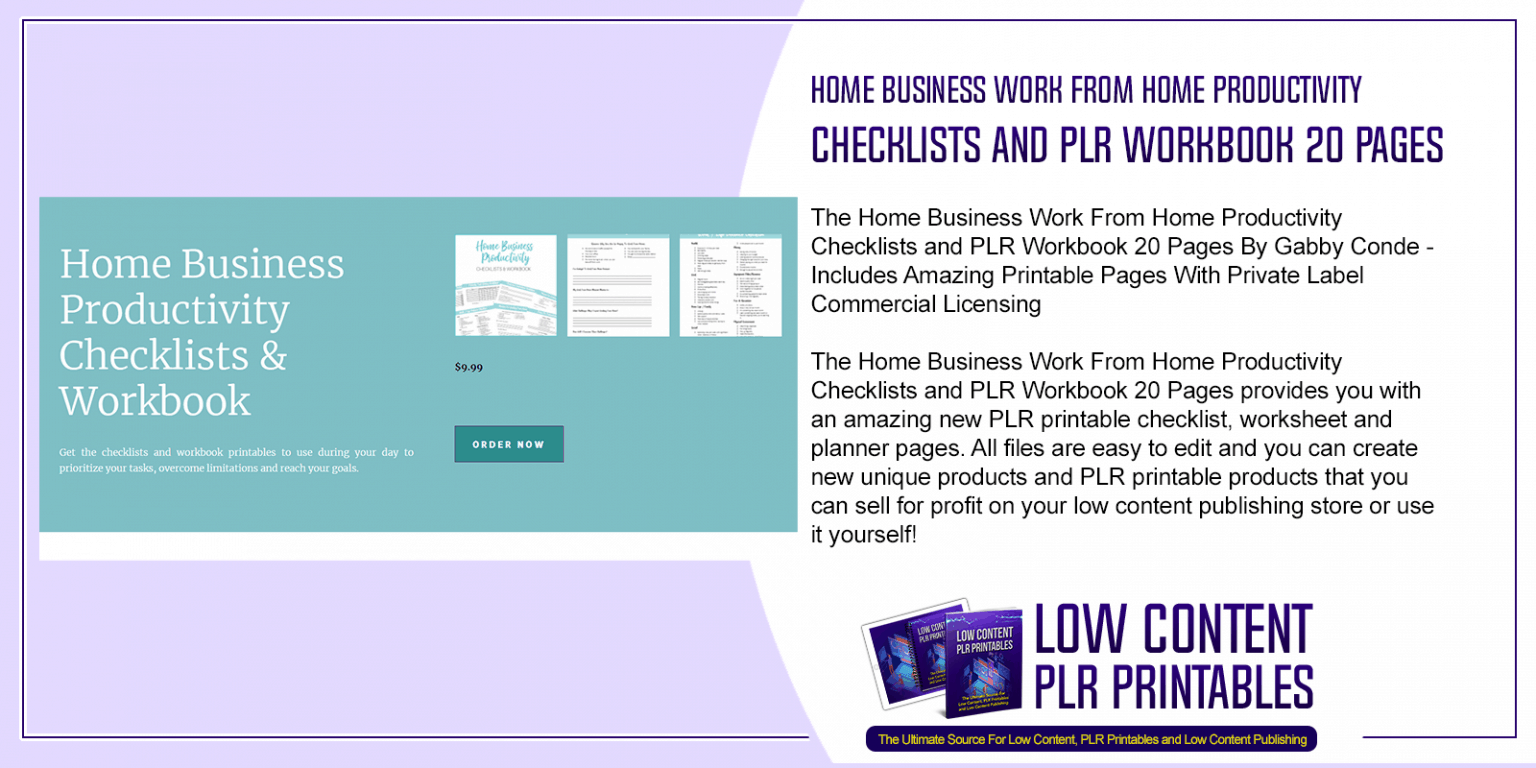 Home Business Work From Home Productivity Checklists and PLR Workbook ...