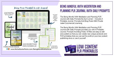 Life of Abundance Log Free PLR Journal Template | PLR Printables