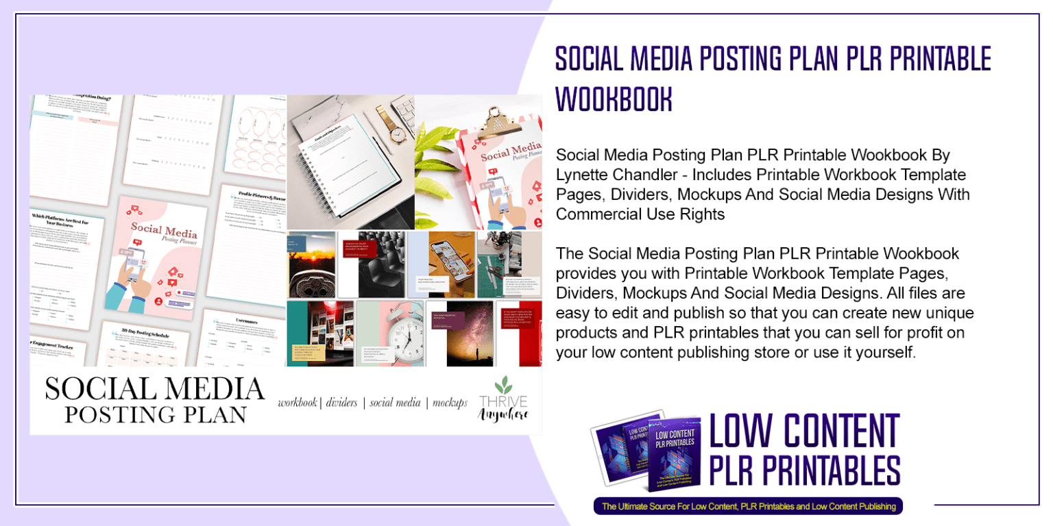 Social Media Posting Plan PLR Printable Wookbook | PLR Workbook