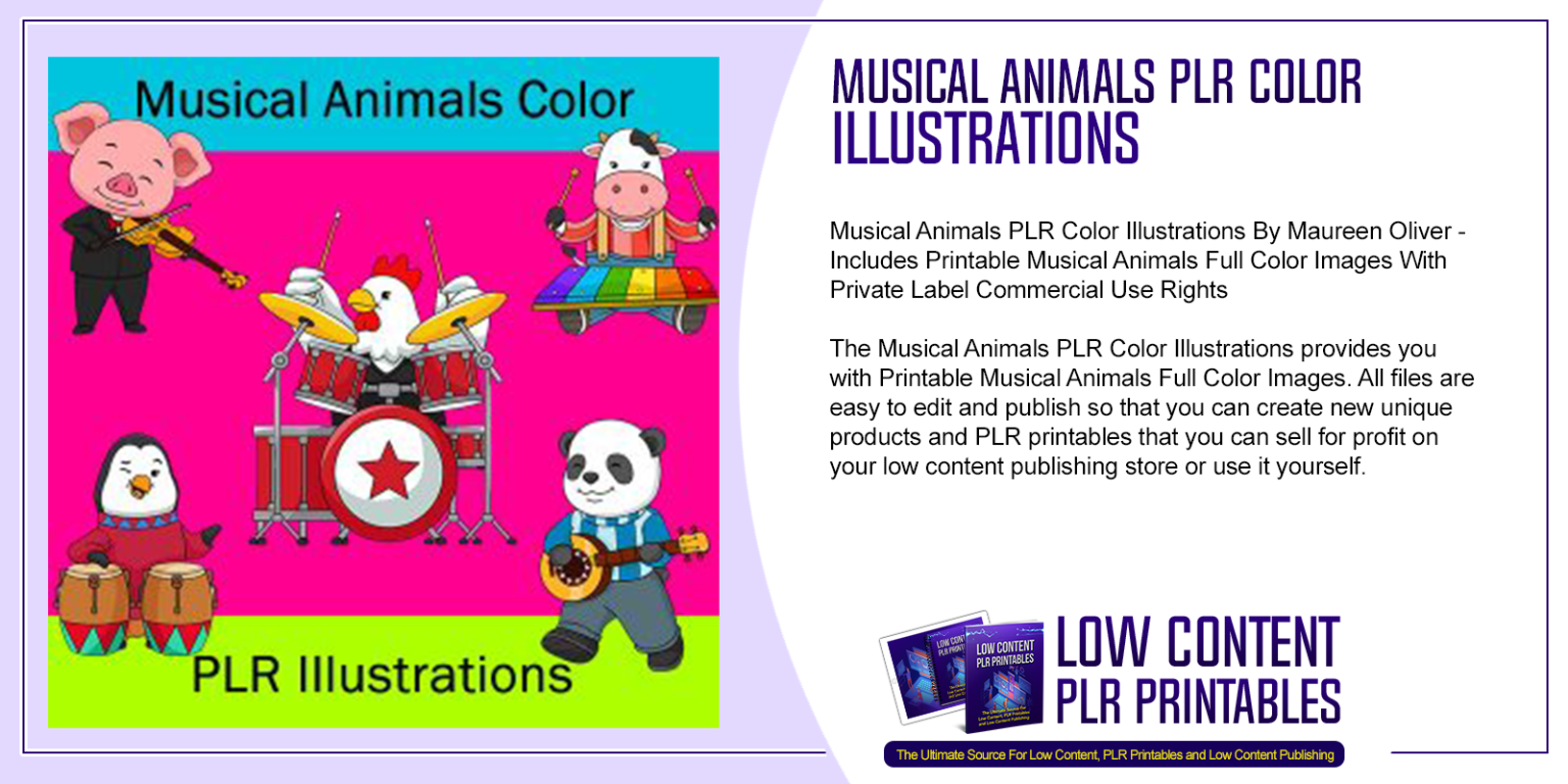 Brain Teasers Riddles and Ciphers PLR Printable Activities | PLR Printable