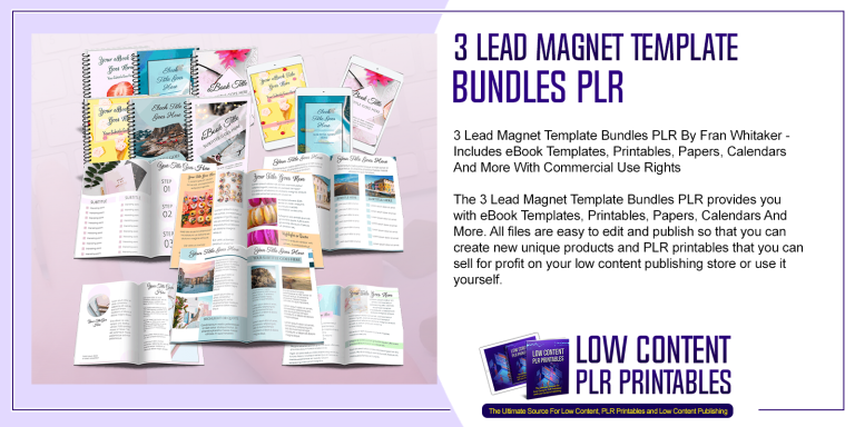 3 Lead Magnet Template Bundles PLR | PLR Lead Magnet Printables