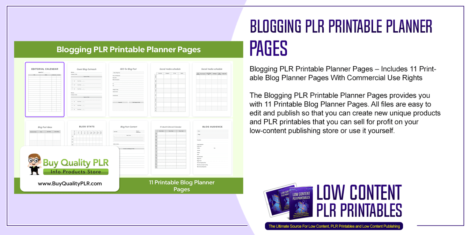 Blogging PLR Printable Planner Pages | PLR Printable Planner