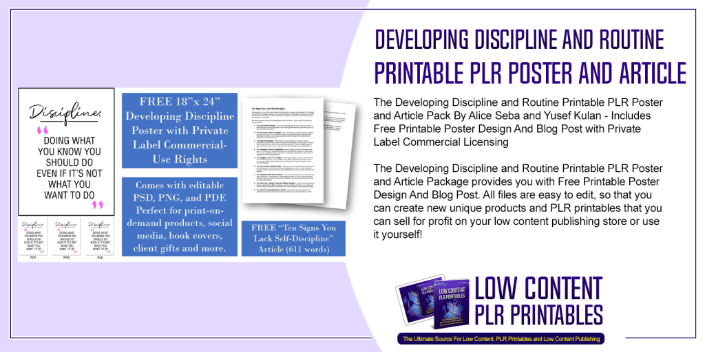 Developing Discipline and Routine Printable PLR Poster and Article