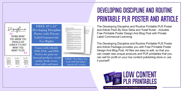 Developing Discipline and Routine Printable PLR Poster and Article