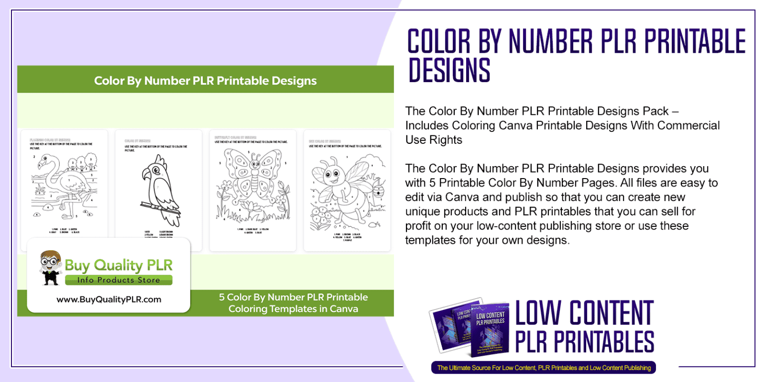 Color By Number PLR Printable Designs | PLR Coloring Pages