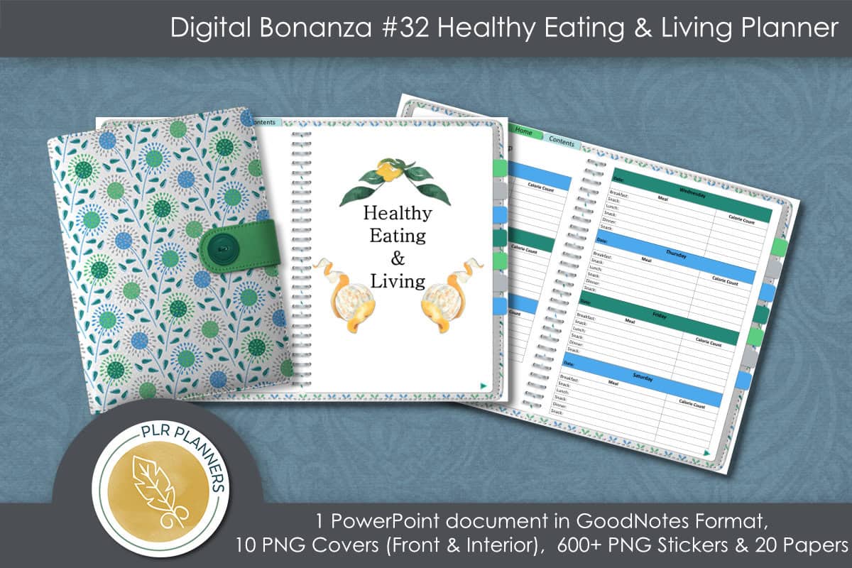 Digital Daily PLR Planner for 2024 | Daily PLR Printable Planner